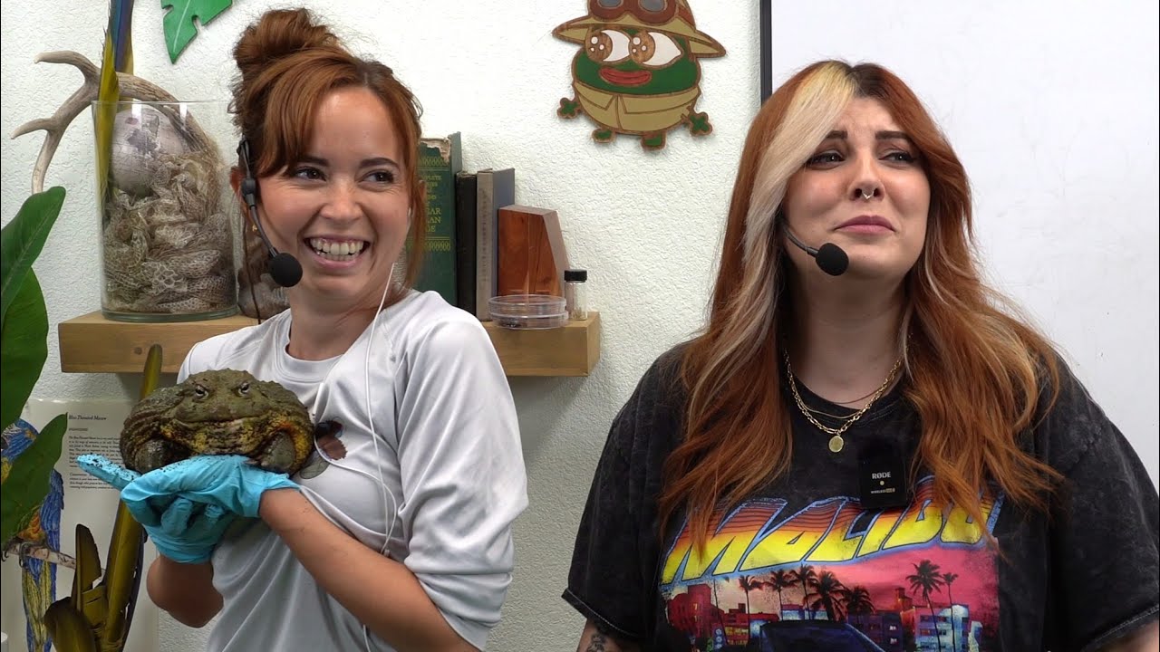 Collaborations | Alveus Sanctuary