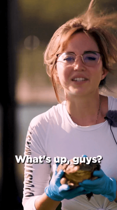 Stompy | Ambassadors | Alveus Sanctuary