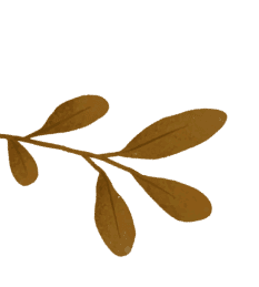 Ambassadors | Alveus Sanctuary