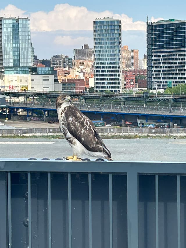 Show and Tell | Alveus Sanctuary