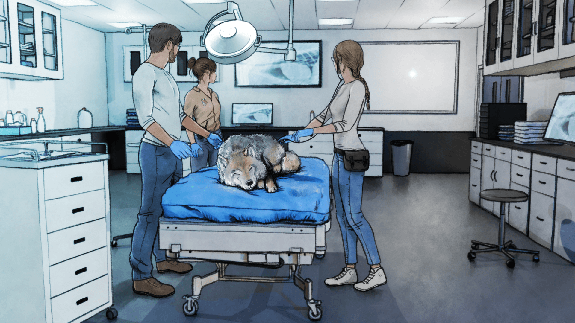 Alveus Research & Recovery Institute | Alveus Sanctuary