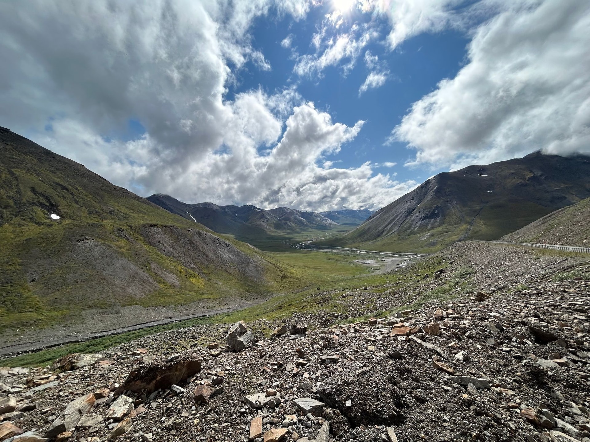 Show and Tell | Alveus Sanctuary