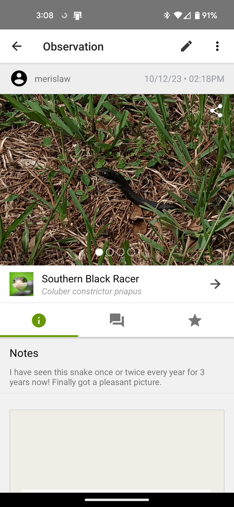 Show and Tell | Alveus Sanctuary