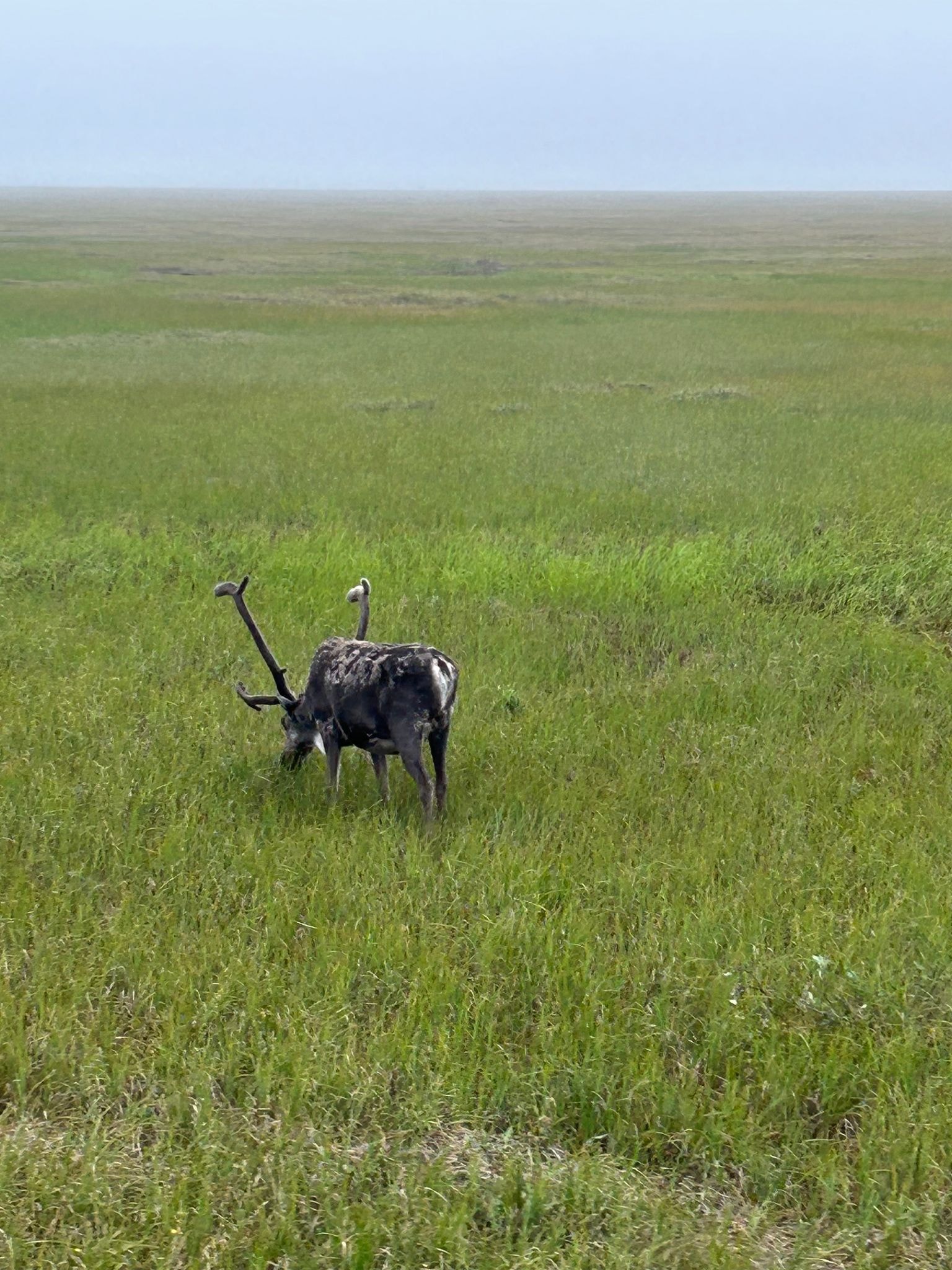 Show and Tell | Alveus Sanctuary