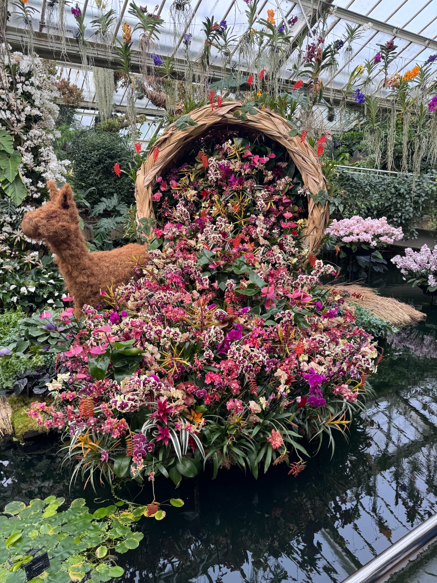 Show and Tell | Alveus Sanctuary