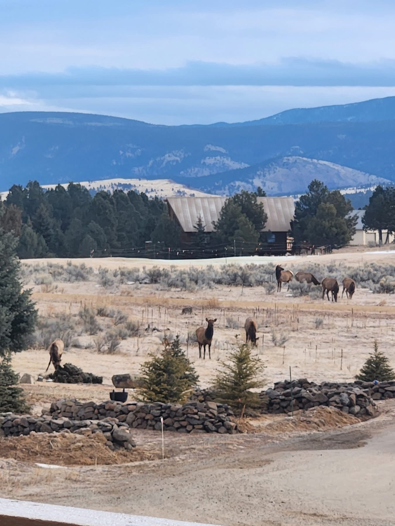 Show and Tell | Alveus Sanctuary