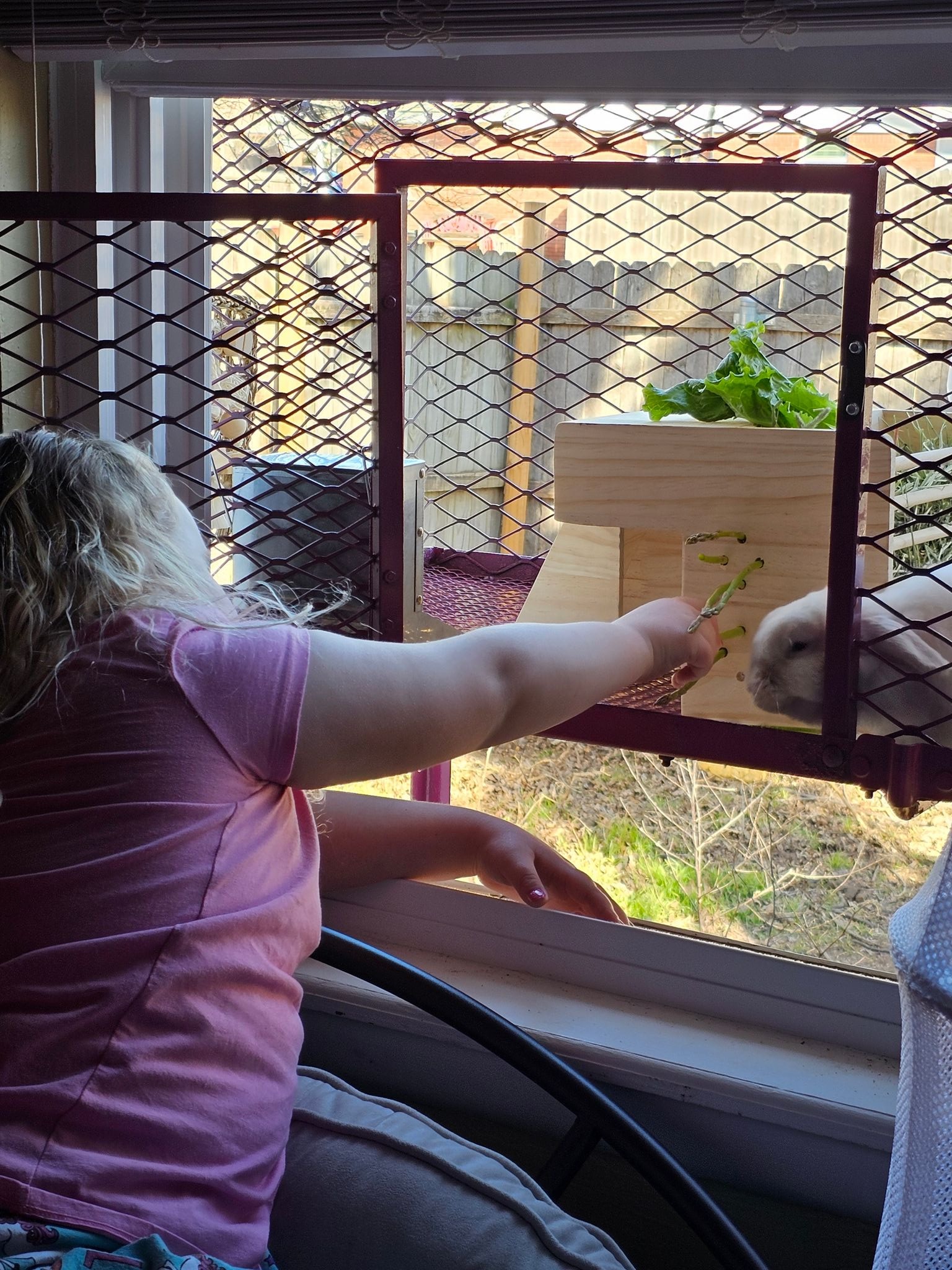 Show and Tell | Alveus Sanctuary